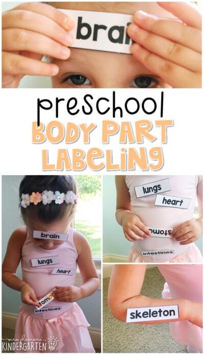 Preschool: My Body - Mrs. Plemons' Kindergarten