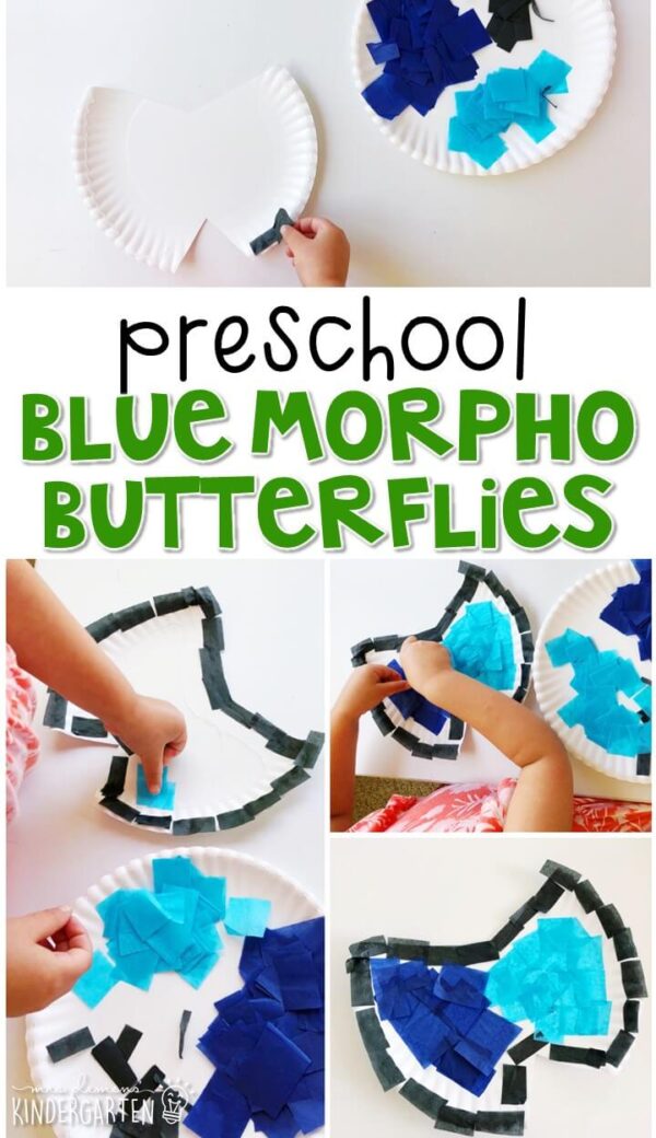 Preschool: Rainforest - Mrs. Plemons' Kindergarten