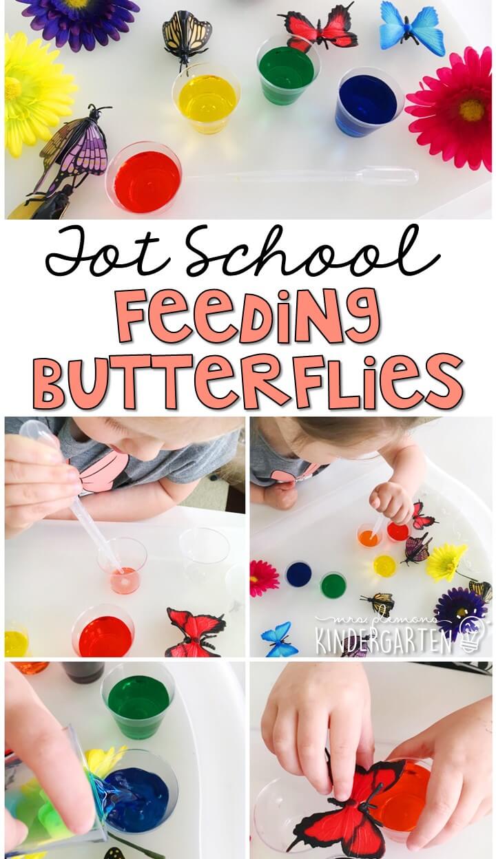 Tot School: Butterflies - Mrs. Plemons' Kindergarten