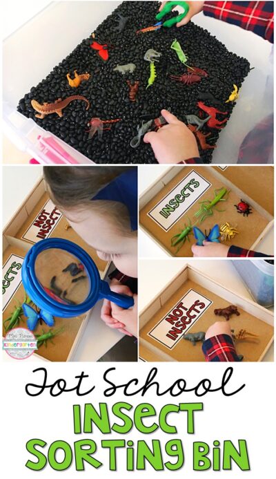 Tot School: Insects - Mrs. Plemons' Kindergarten