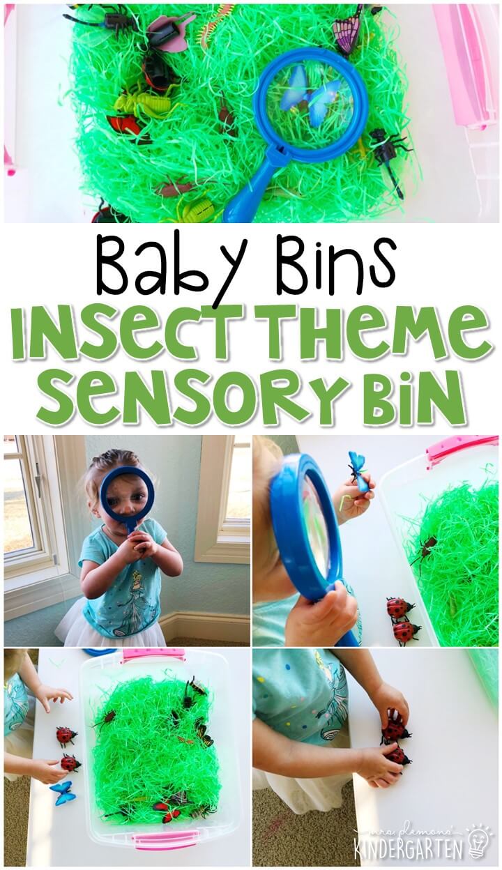 Baby Bins: Insects - Mrs. Plemons' Kindergarten