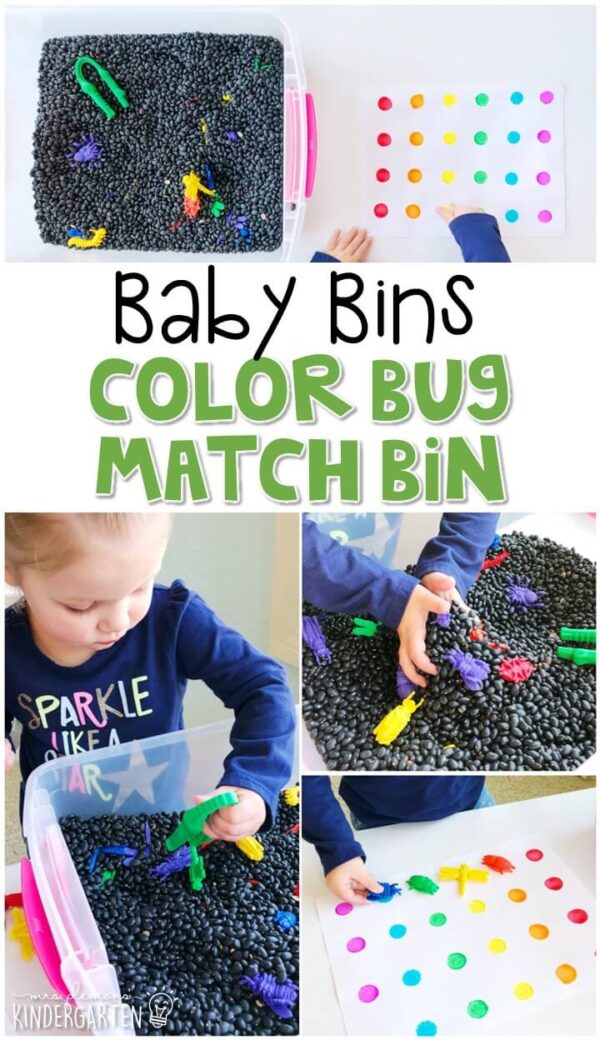 Baby Bins: Insects - Mrs. Plemons' Kindergarten