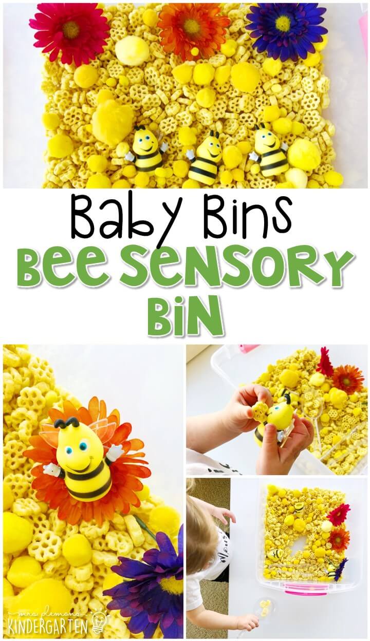 Baby Bins: Insects - Mrs. Plemons' Kindergarten